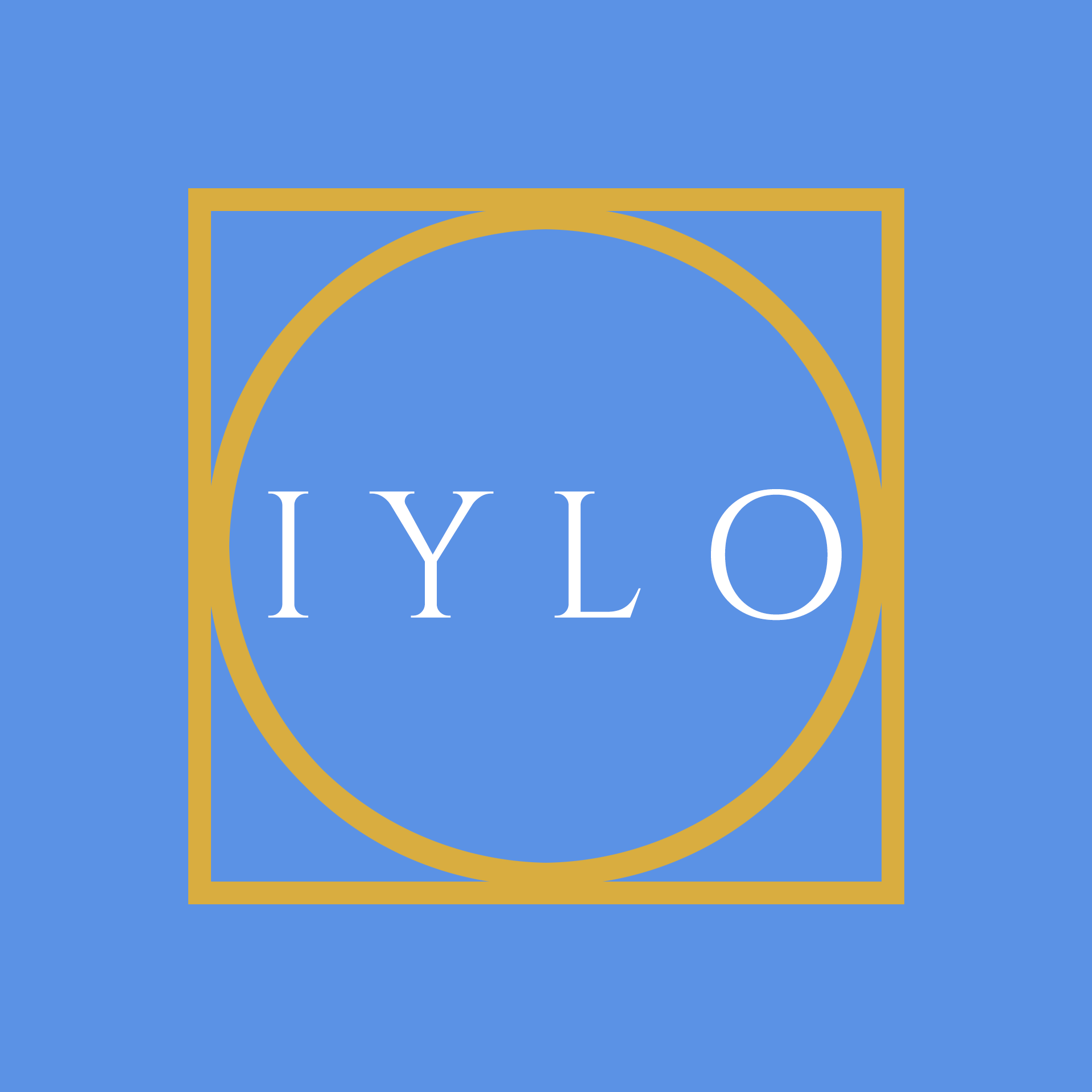 International Young Leaders Organization (IYLO)